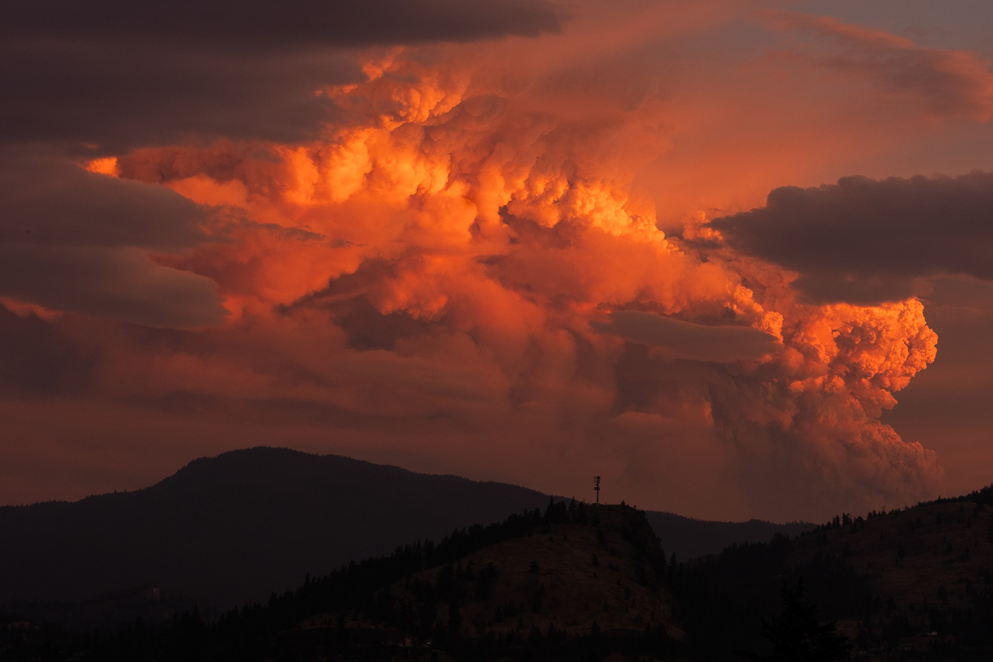 How to Pray While the World Burns – Take Note – Reflections on life ...